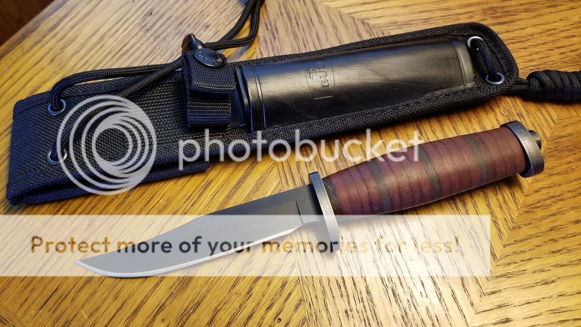 SOLD Buck 117 Brahma for sale | BladeForums.com